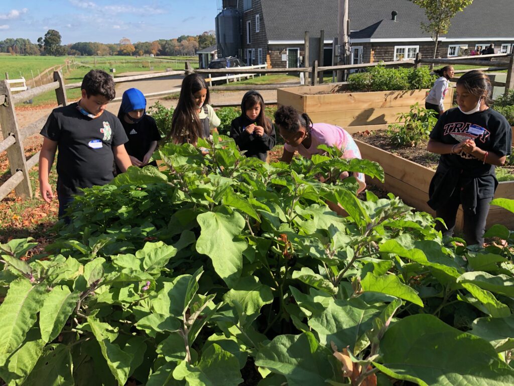 School & Youth Programs - The Trustees of Reservations