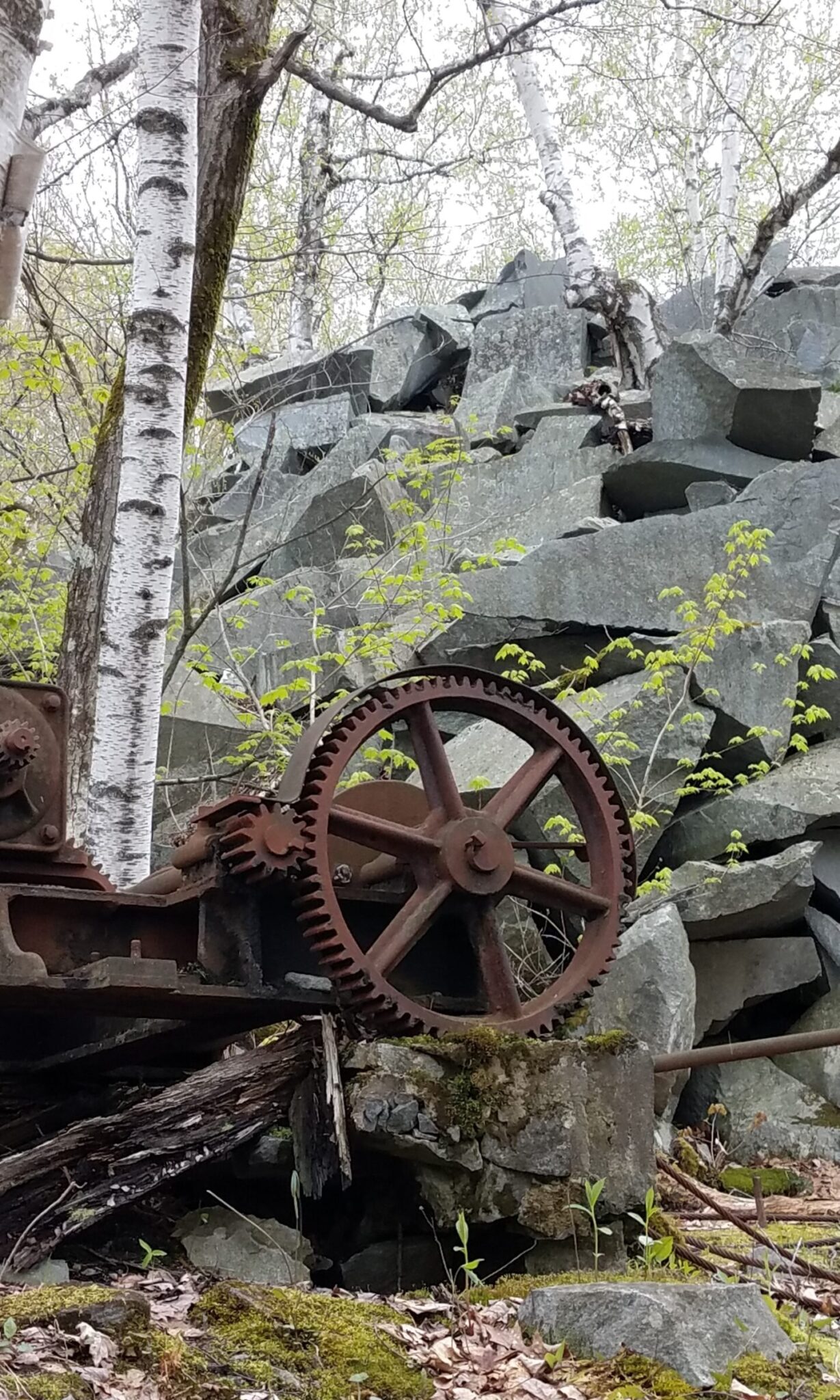 Becket Quarry & Forest History - The Trustees of Reservations