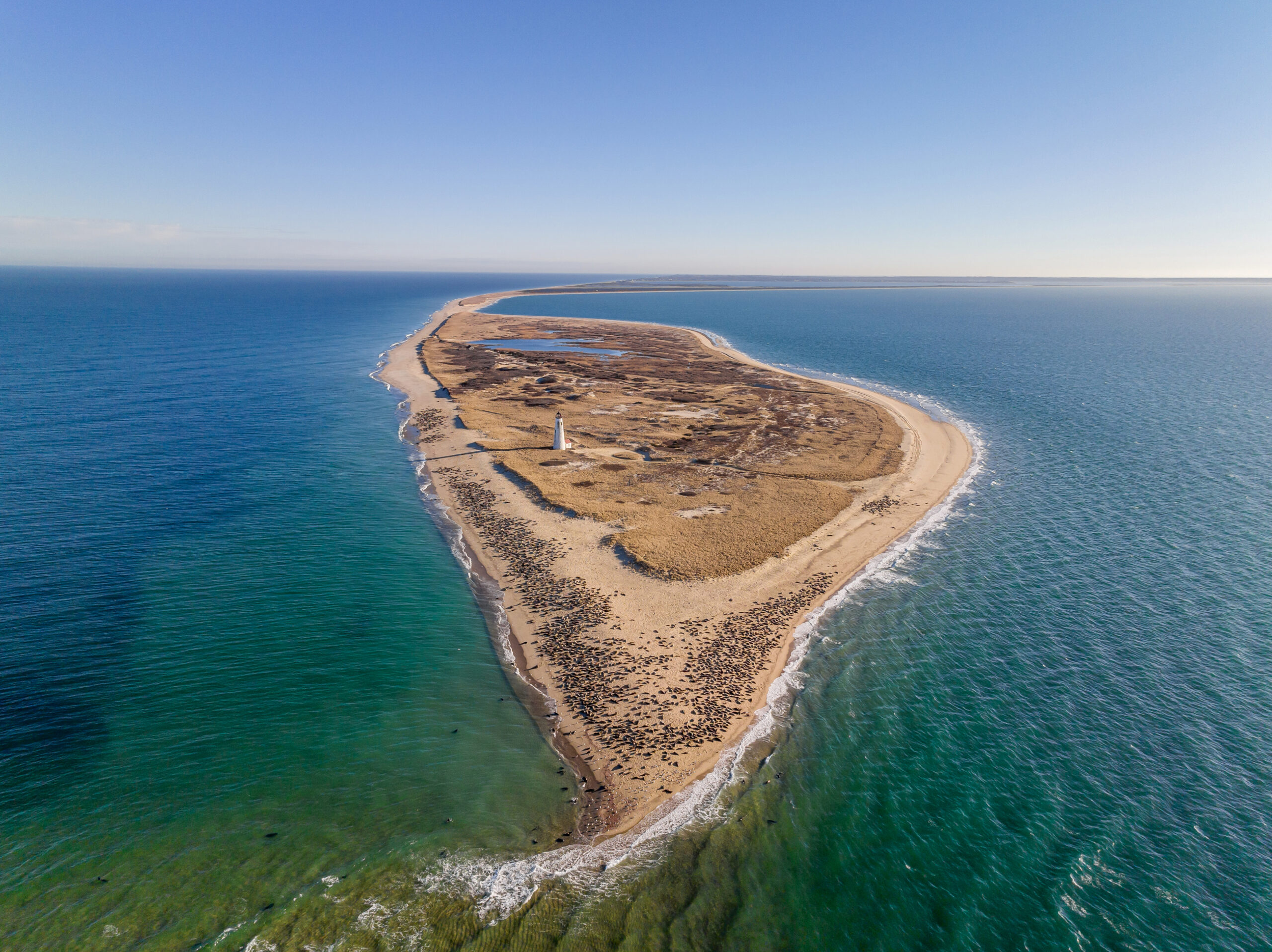 Coskata-Coatue: A Refuge on the Edge - The Trustees of Reservations