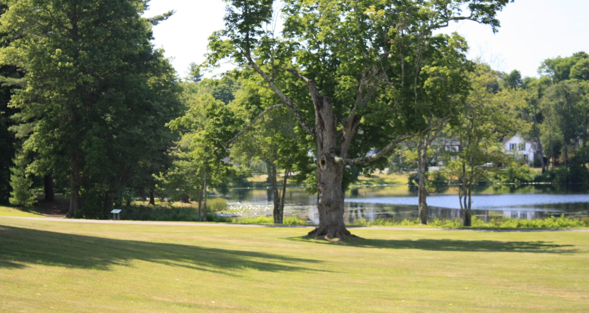 Francis William Bird Park, Walpole, MA - The Trustees of Reservations