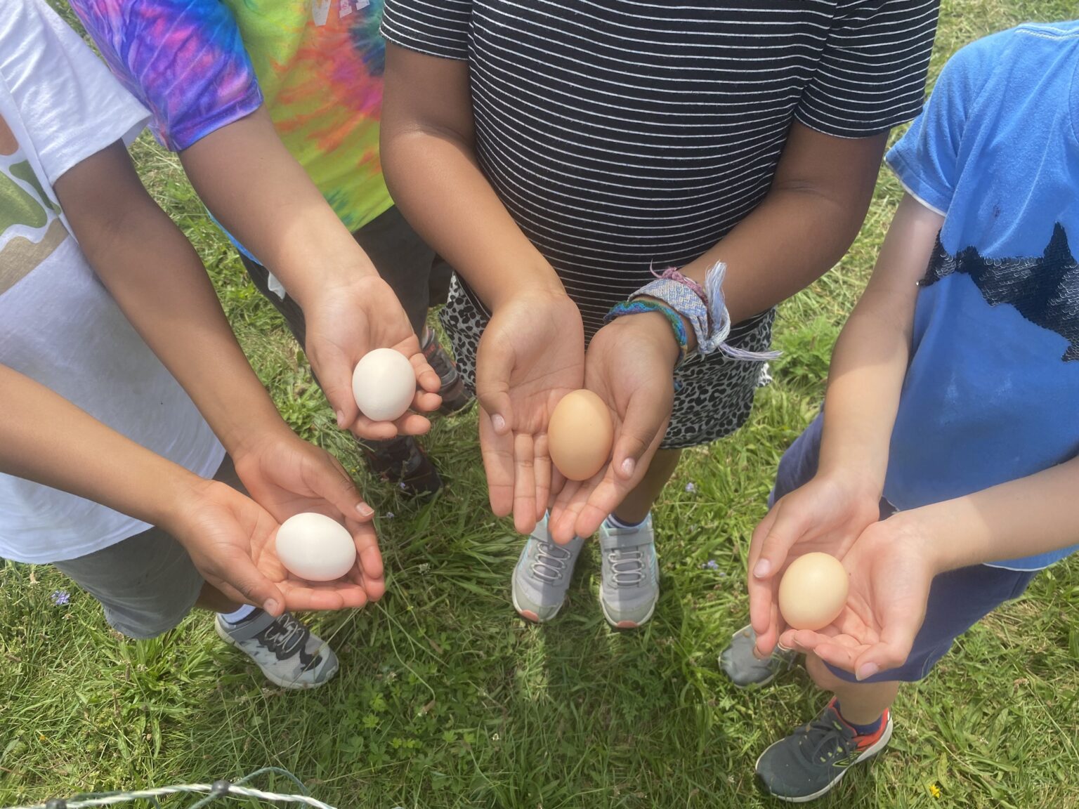 Celebrating Culture and Creating Community at The FARM Institute - The ...