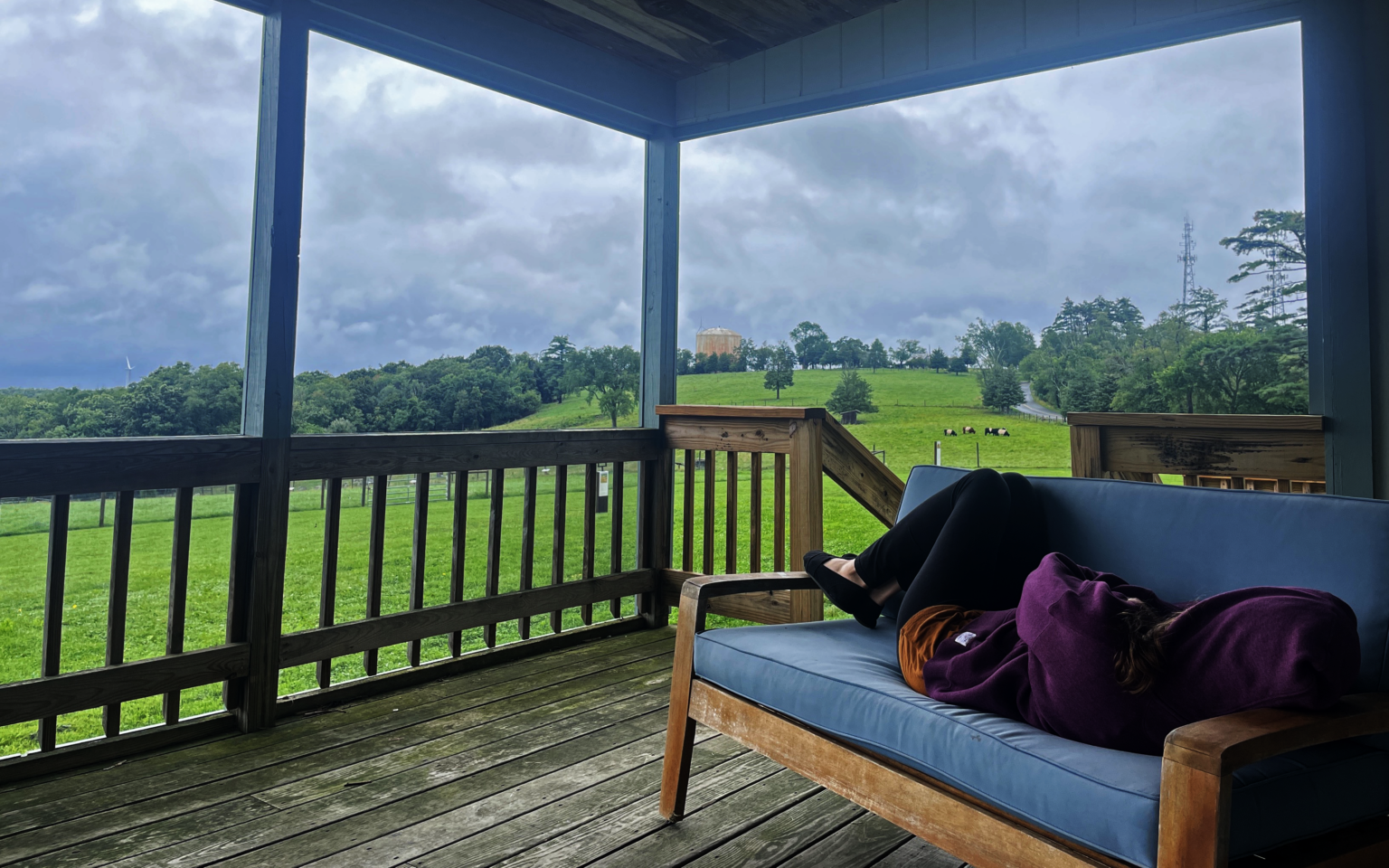 Favorite Places to Take a Nap - The Trustees of Reservations