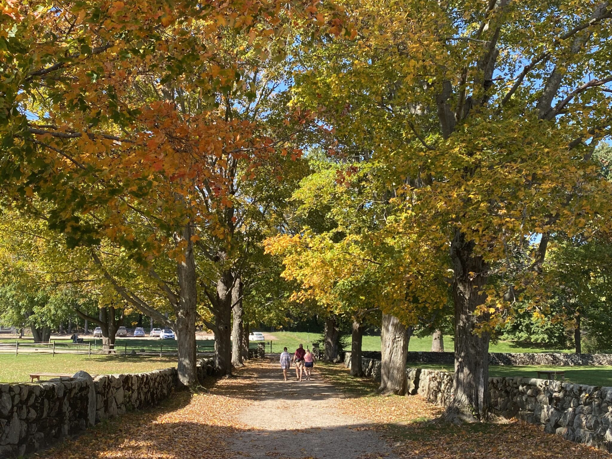 Celebrate Fall on the Farms with The Trustees in October - The Trustees ...
