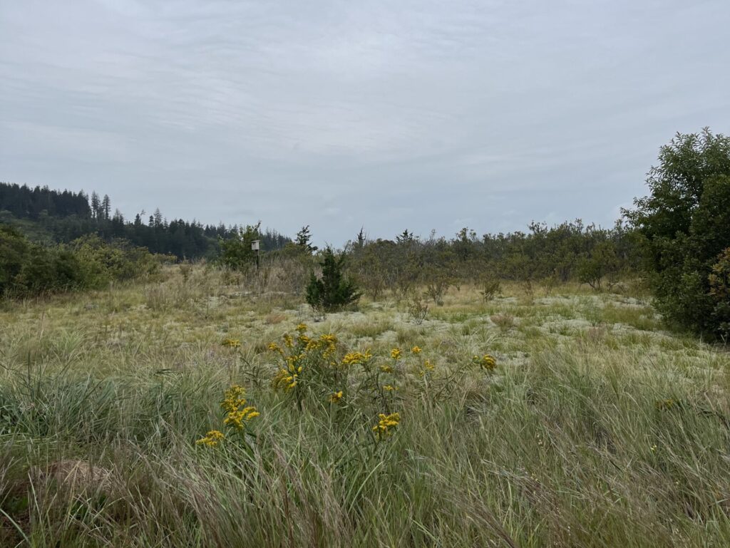 A Day on Choate Island - The Trustees of Reservations