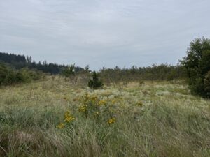 A Day on Choate Island - The Trustees of Reservations