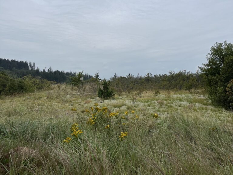 A Day on Choate Island - The Trustees of Reservations