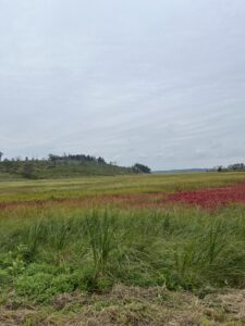 A Day on Choate Island - The Trustees of Reservations