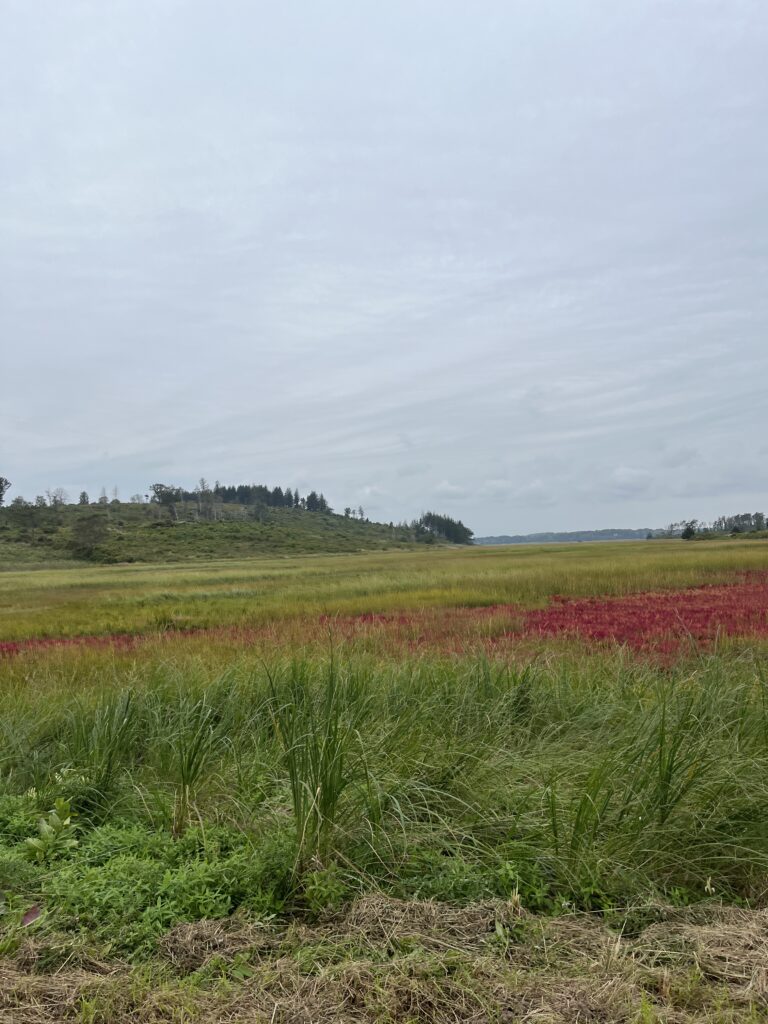 A Day on Choate Island - The Trustees of Reservations