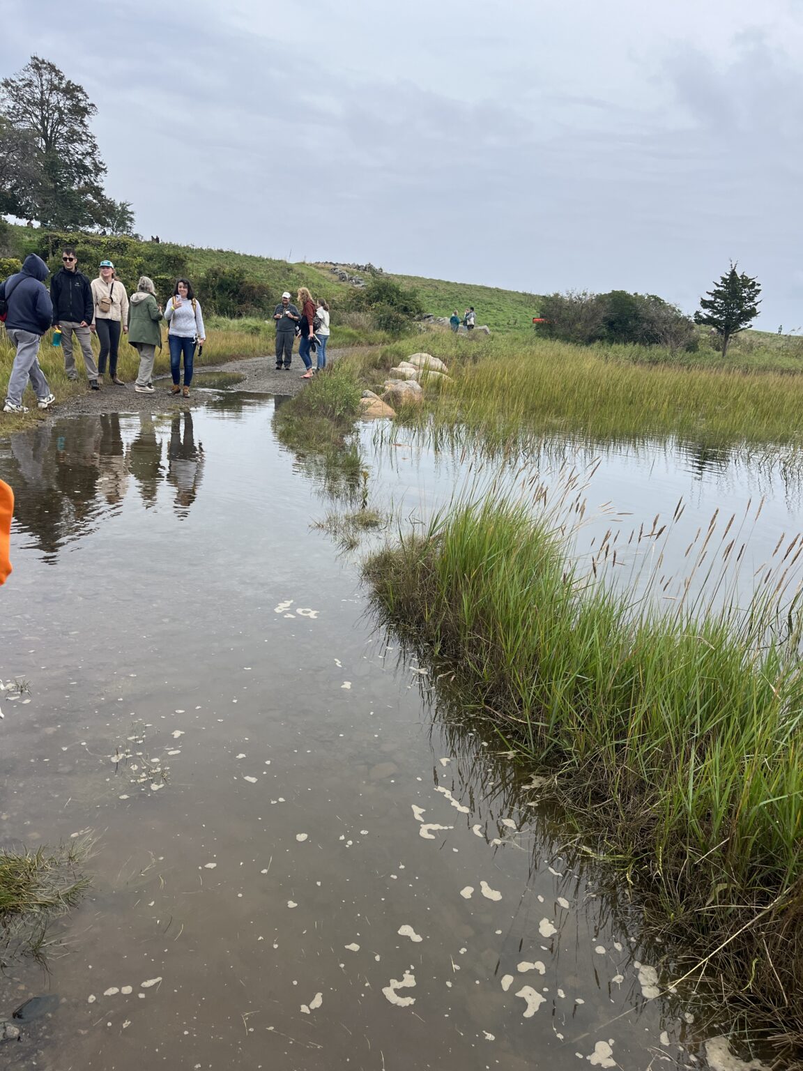 A Day on Choate Island - The Trustees of Reservations