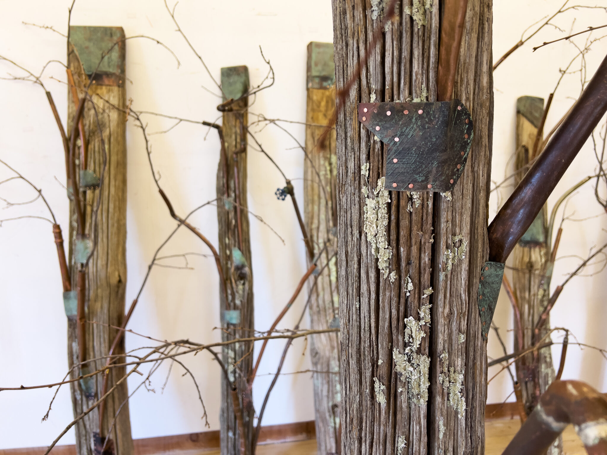 News from Across the State - Spring 2024 - The Trustees of Reservations