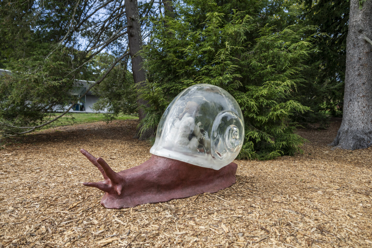 Kathy Ruttenberg, A Snail’s Pace - The Trustees of Reservations