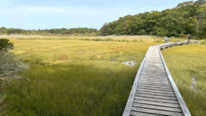 Swift River Reservation, Petersham, MA - The Trustees of Reservations