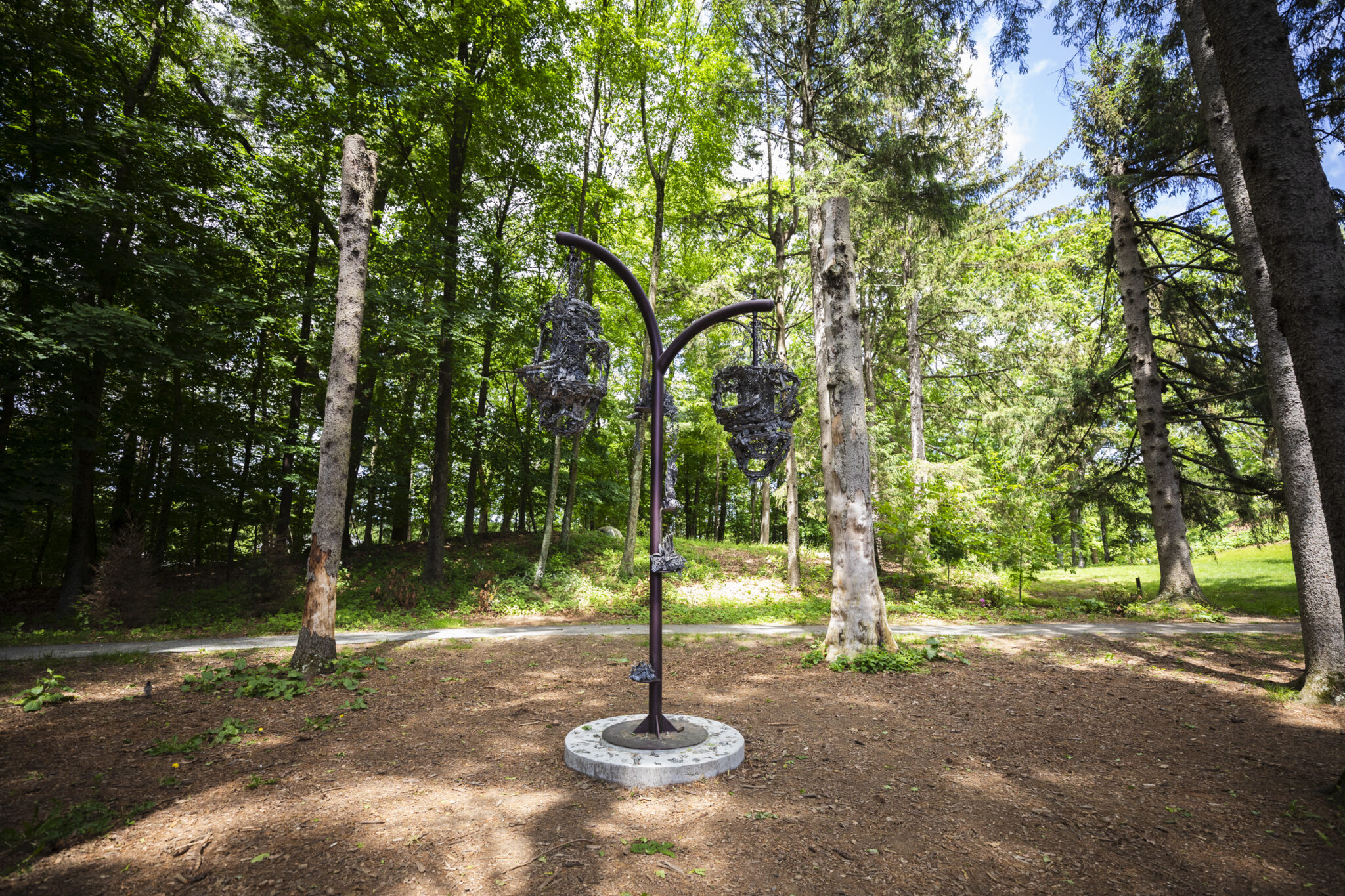 Connecting Art, Nature, and People at deCordova - The Trustees of ...